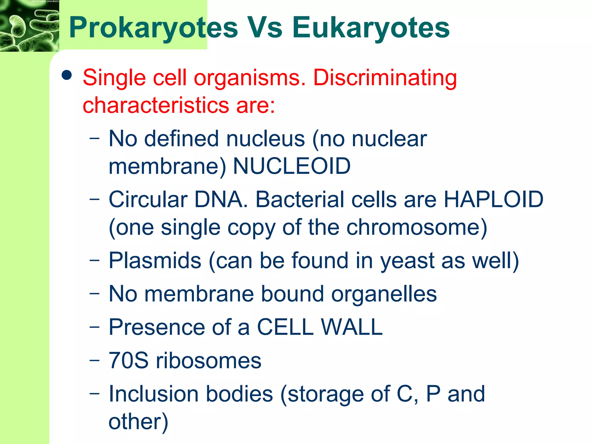 Chapter 3 (microbiology) 8th edition | PPT