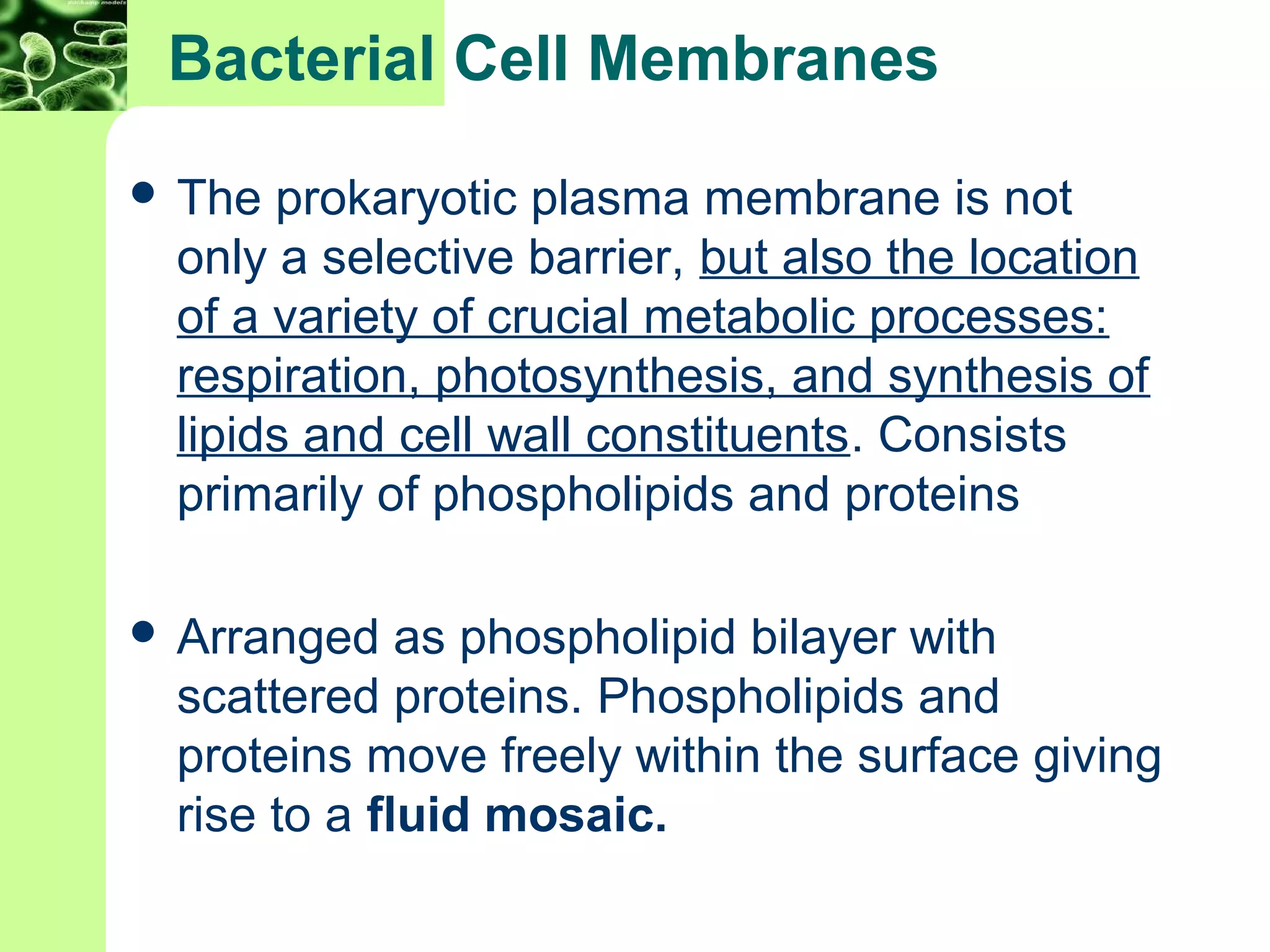 Chapter 3 (microbiology) 8th edition | PPT