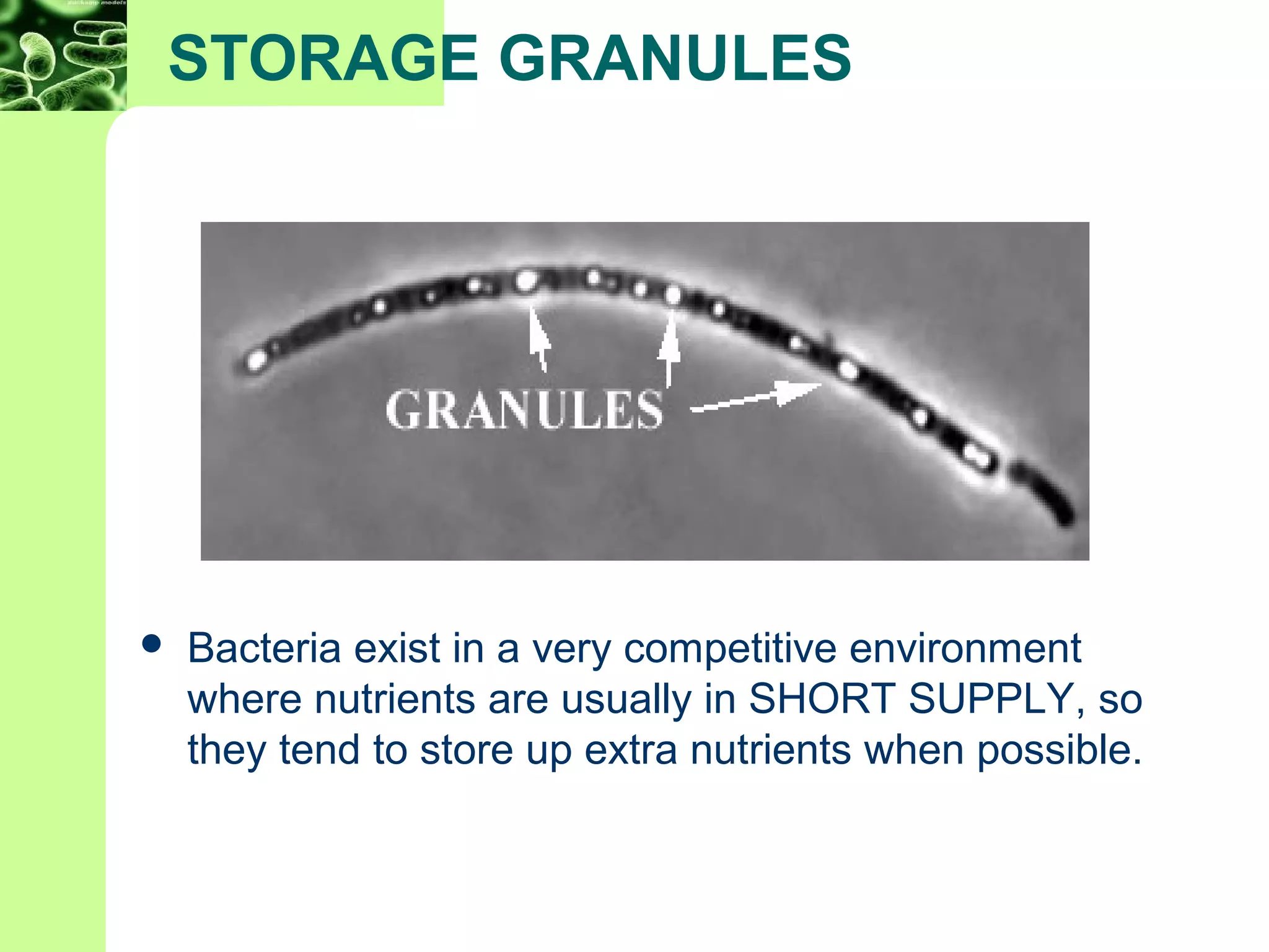Chapter 3 (microbiology) 8th edition | PPT