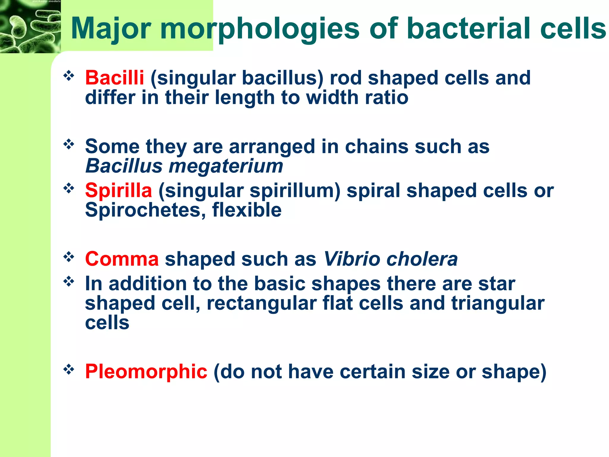 Chapter 3 (microbiology) 8th edition | PPT
