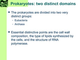 Chapter 3 (microbiology) 8th edition | PPT