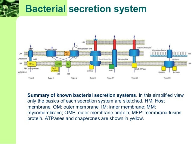 Chapter 3 (microbiology) 8th edition