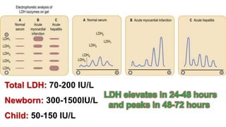 assessment of cardiovascular diseases | PPT
