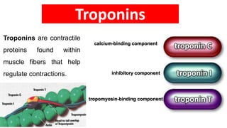 assessment of cardiovascular diseases | PPT