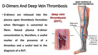 assessment of cardiovascular diseases | PPT