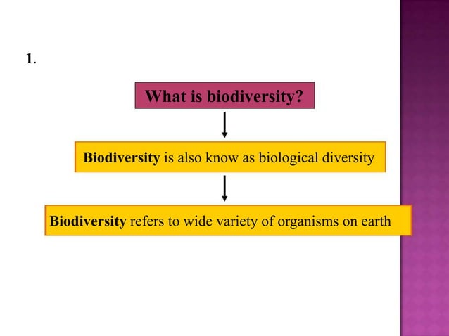 Chapter 3 biodiversity | PPTX | Gardening | Home & Garden