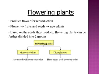 Chapter 3 biodiversity | PPTX