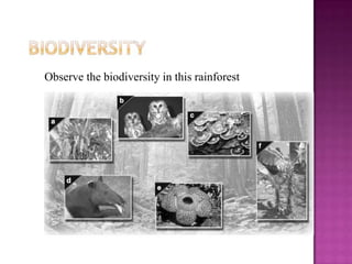 Chapter 3 biodiversity | PPTX