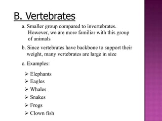 Chapter 3 biodiversity | PPTX