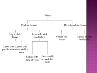 Chapter 5 Biological Diversity And Conservation Concept Map Answers - Map