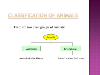Chapter 3 biodiversity | PPT