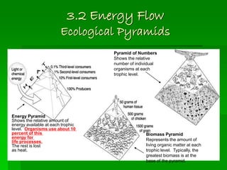 Chapter 3 biosphere and ecology | PPTX