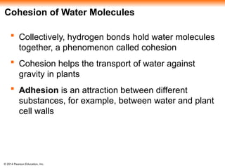 chapter 3 Campbell Biology, Water and Life.pptx