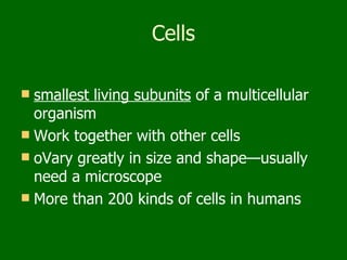 Chapter 3--CELLS | PPT