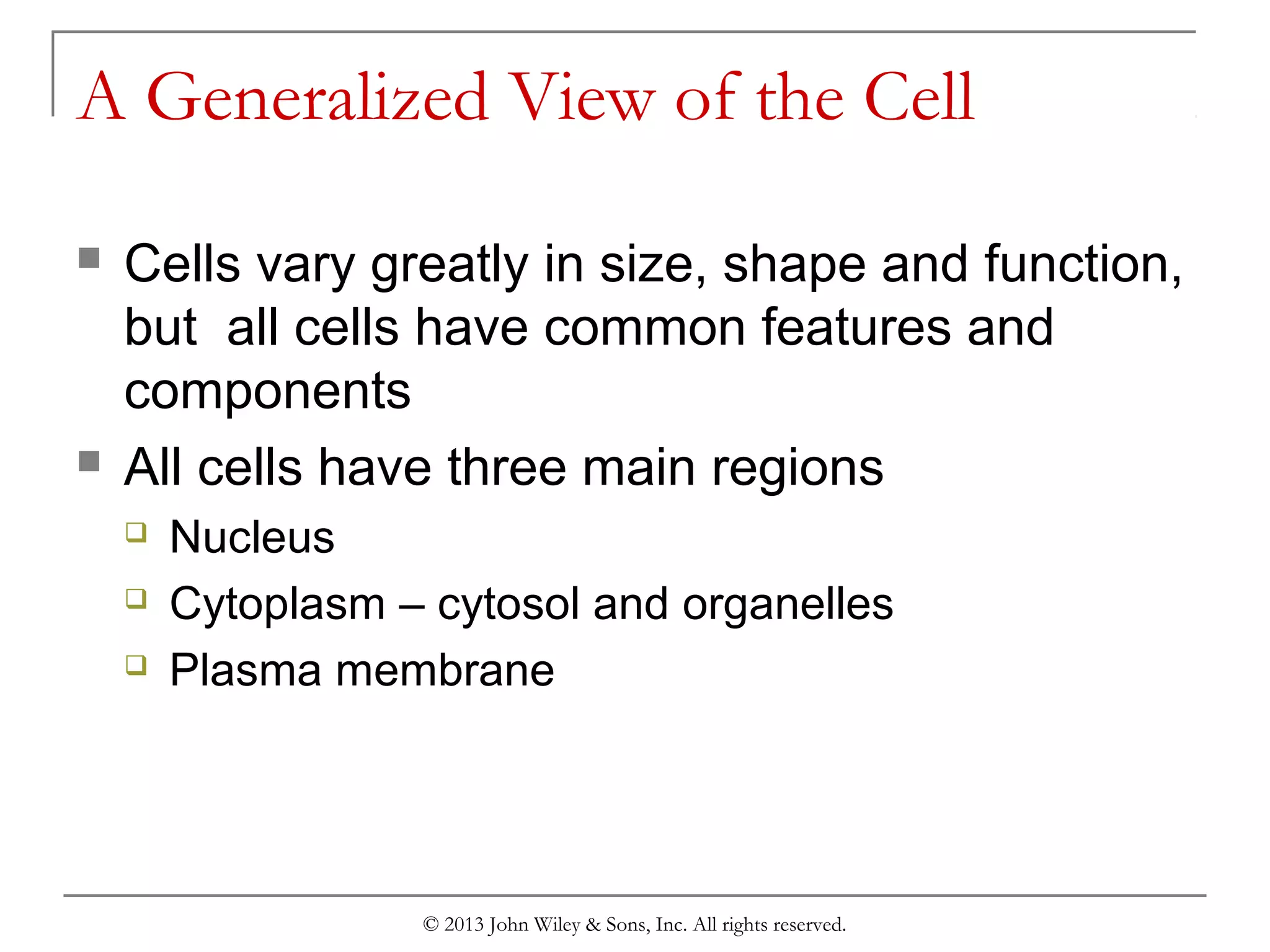 Chapter 3 cells | PPT