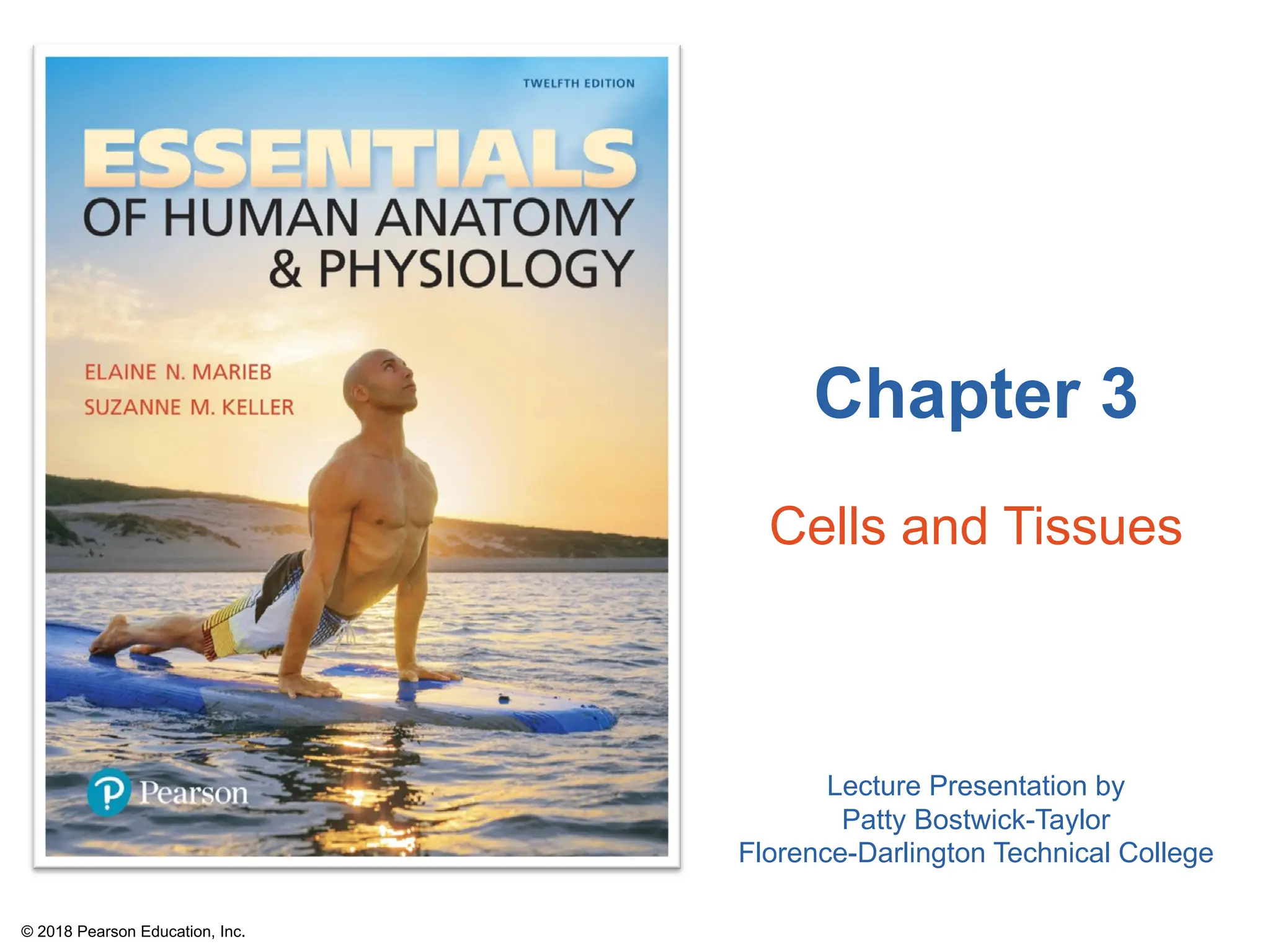 CHAPTER 3: Anatomy and Physiology- Cells and Tissue | PDF | Biological ...