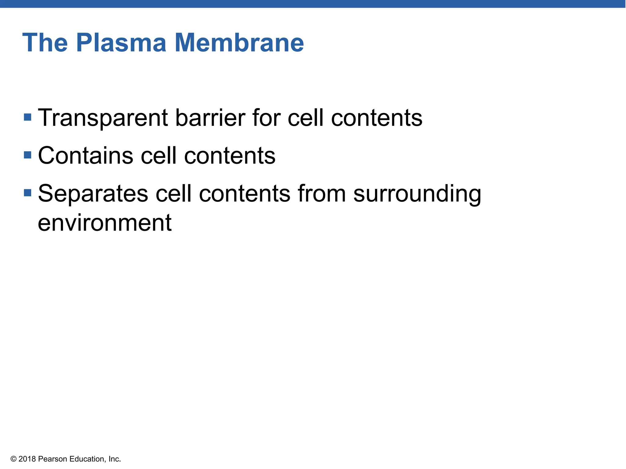 CHAPTER 3: Anatomy and Physiology- Cells and Tissue | PDF | Biological ...