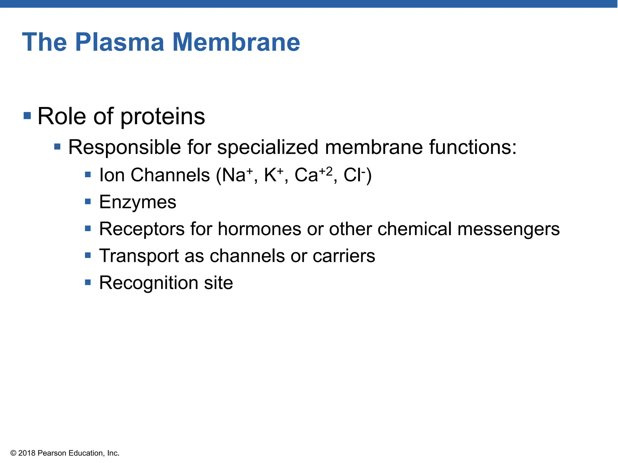 CHAPTER 3: Anatomy and Physiology- Cells and Tissue | PDF | Biological ...