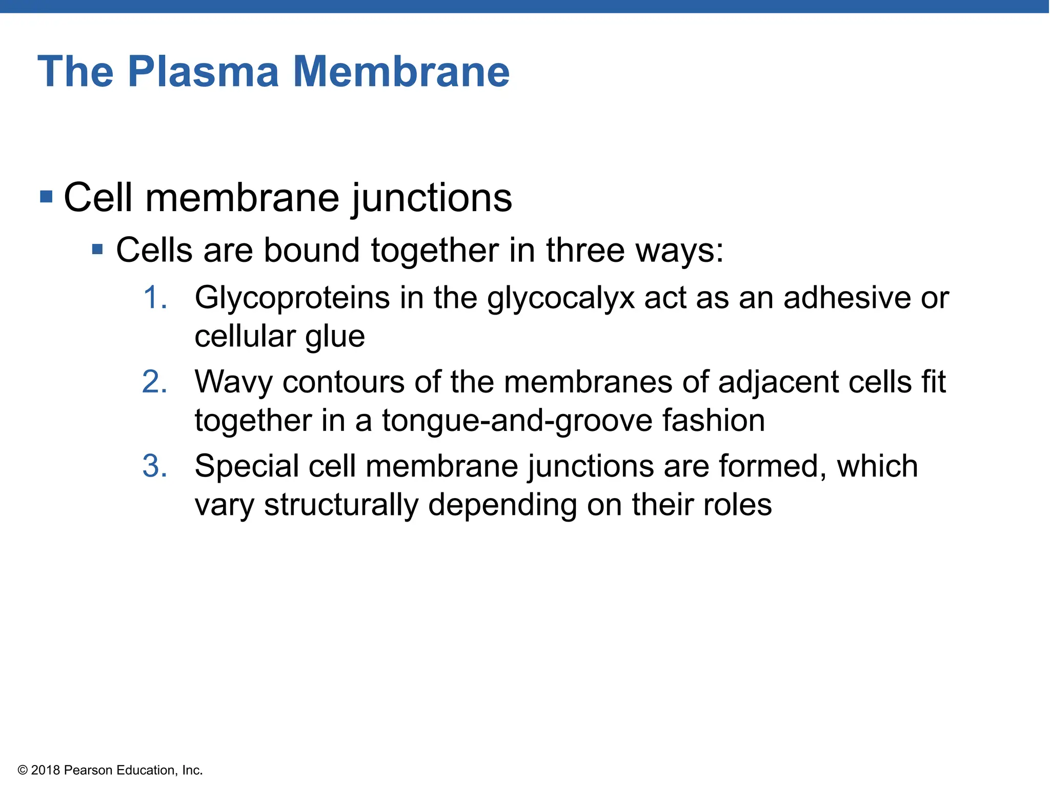 CHAPTER 3: Anatomy and Physiology- Cells and Tissue | PDF