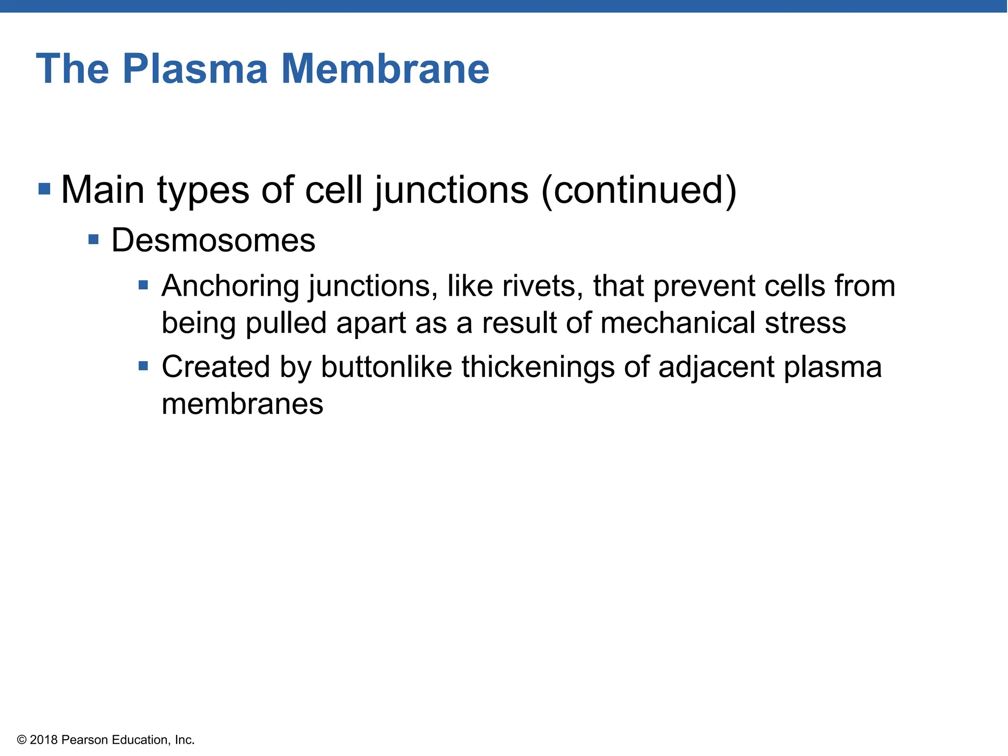 CHAPTER 3: Anatomy and Physiology- Cells and Tissue | PDF | Biological ...