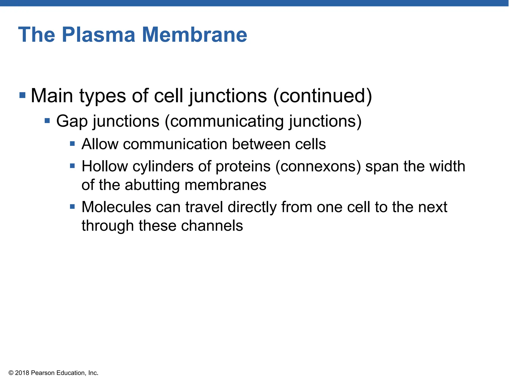CHAPTER 3: Anatomy and Physiology- Cells and Tissue | PDF
