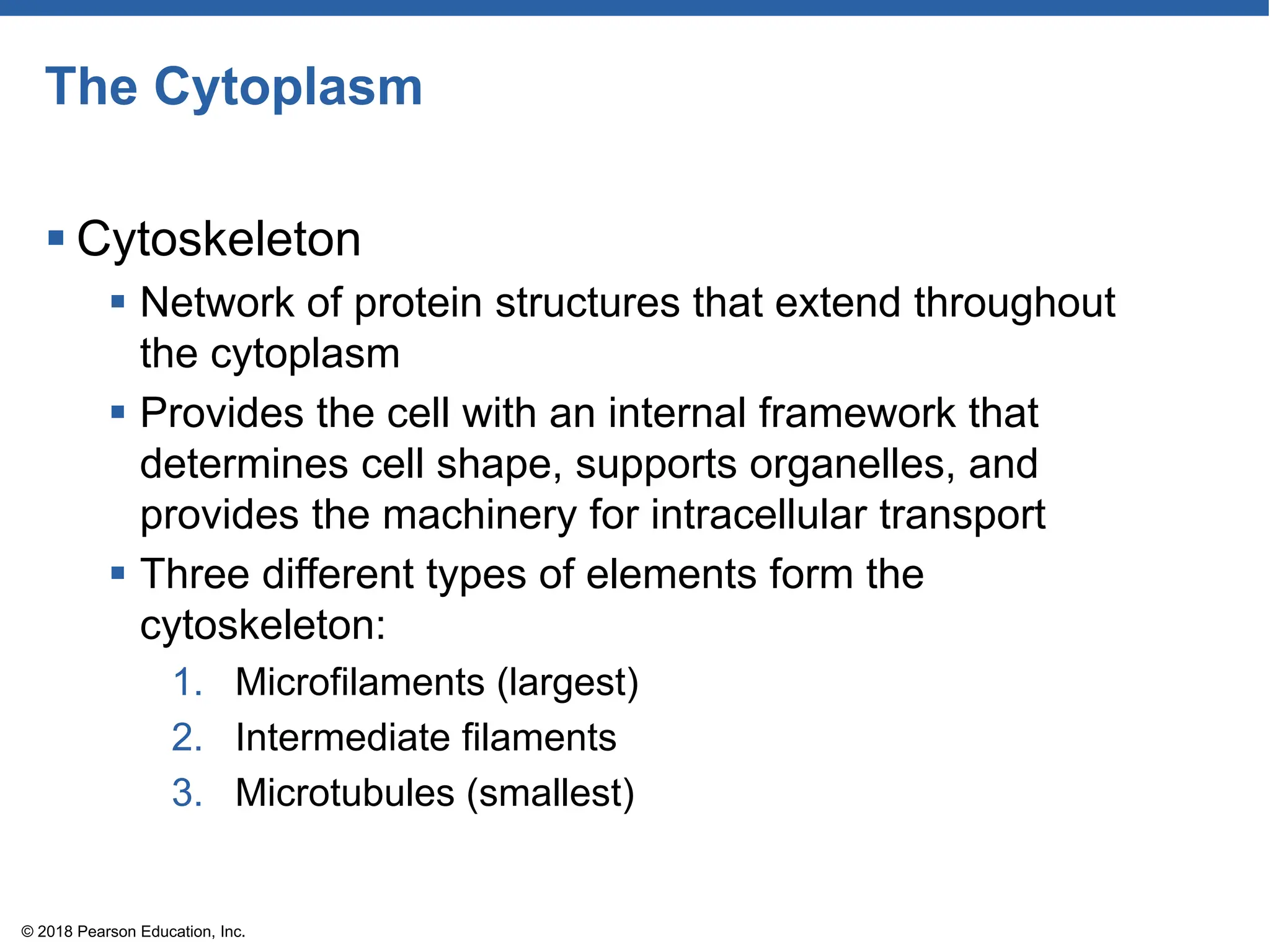CHAPTER 3: Anatomy and Physiology- Cells and Tissue | PDF