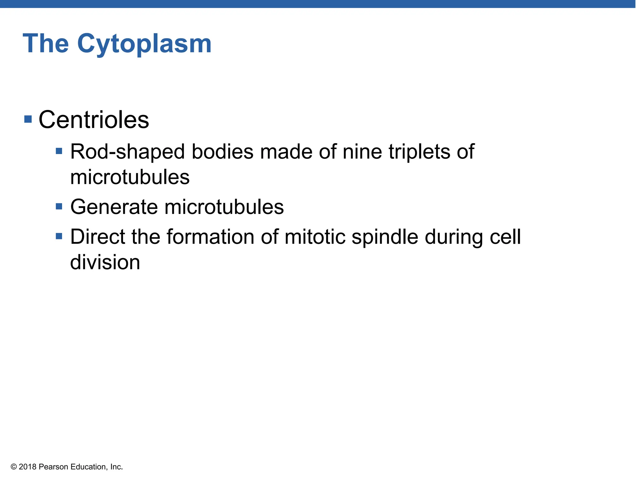 CHAPTER 3: Anatomy and Physiology- Cells and Tissue | PDF