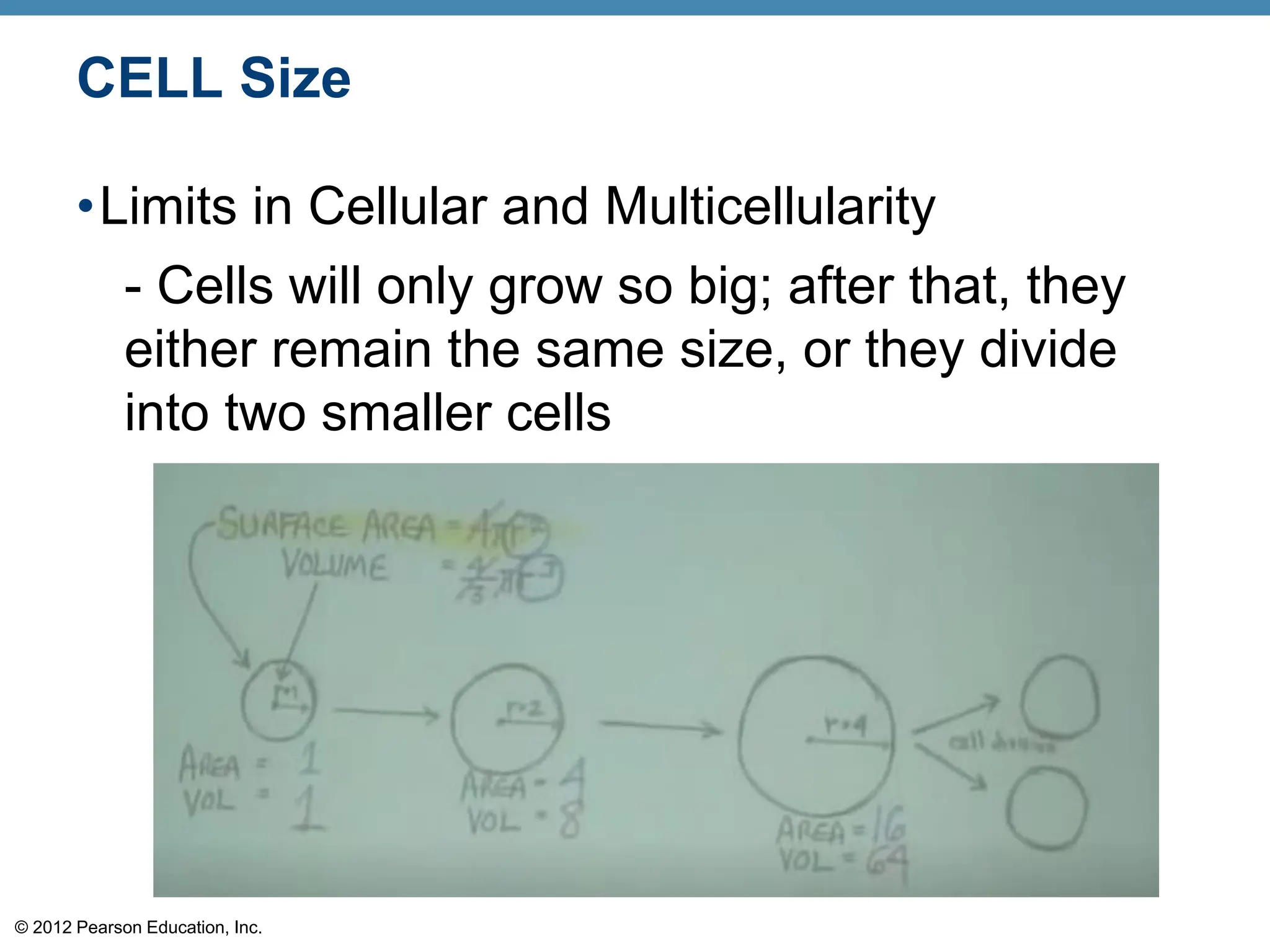 CHAPTER 3: Anatomy and Physiology- Cells and Tissue | PDF