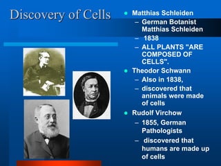 CHAPTER 3: Anatomy and Physiology- Cells and Tissue | PDF