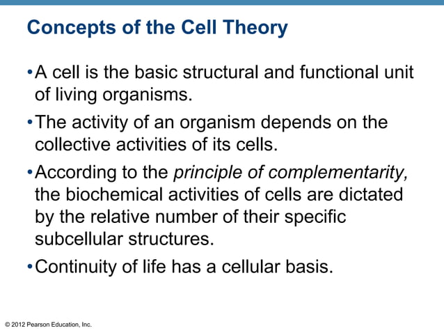 CHAPTER 3: Anatomy and Physiology- Cells and Tissue | PDF | Biological ...