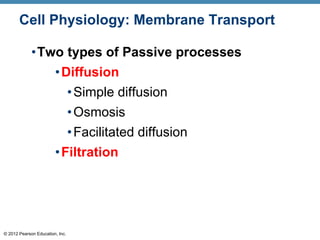 CHAPTER 3: Anatomy and Physiology- Cells and Tissue | PDF