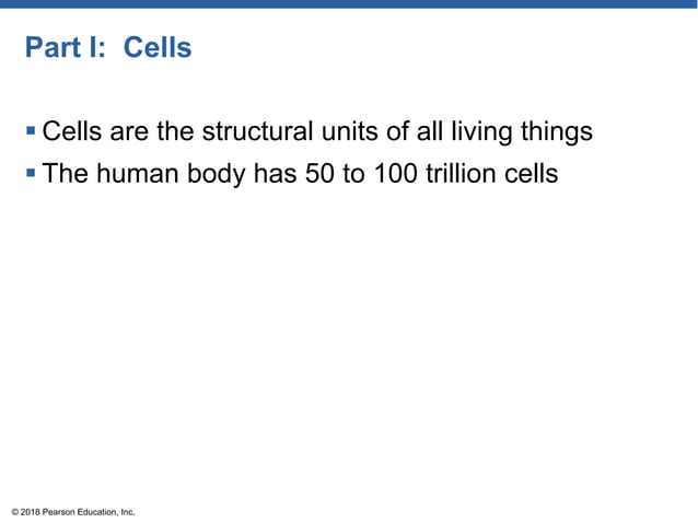 CHAPTER 3: Anatomy and Physiology- Cells and Tissue | PDF | Biological ...