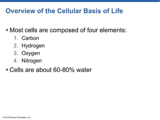CHAPTER 3: Anatomy and Physiology- Cells and Tissue | PDF