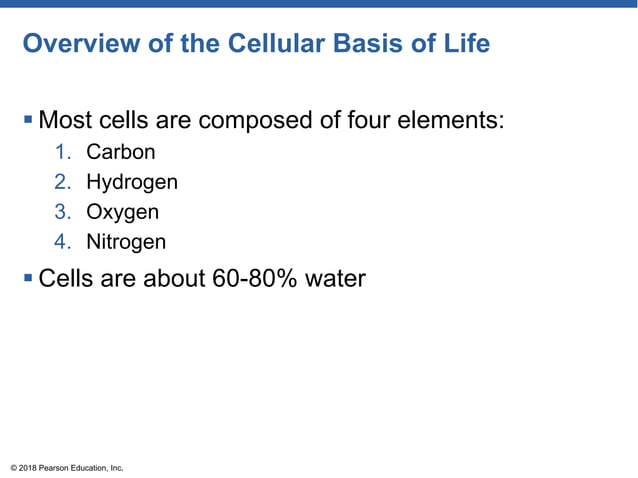 CHAPTER 3: Anatomy and Physiology- Cells and Tissue | PDF | Biological ...