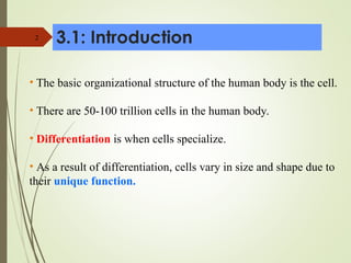Chapter 3 cells,Human Anatomy and physiology I.ppt