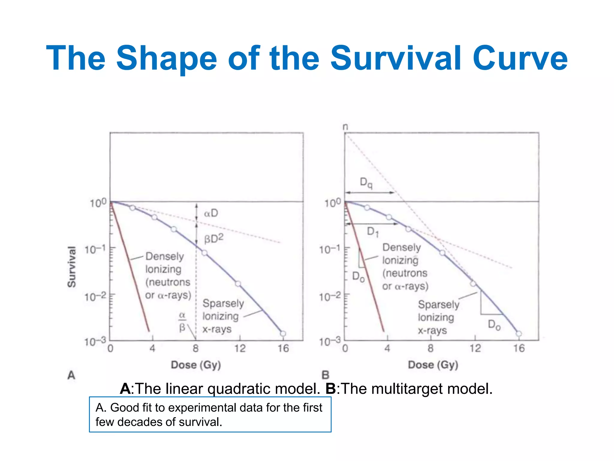 Chapter3 cell survival curve | PPT