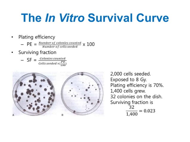 Chapter3 cell survival curve | PPT