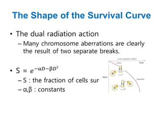 Chapter3 cell survival curve | PPTX