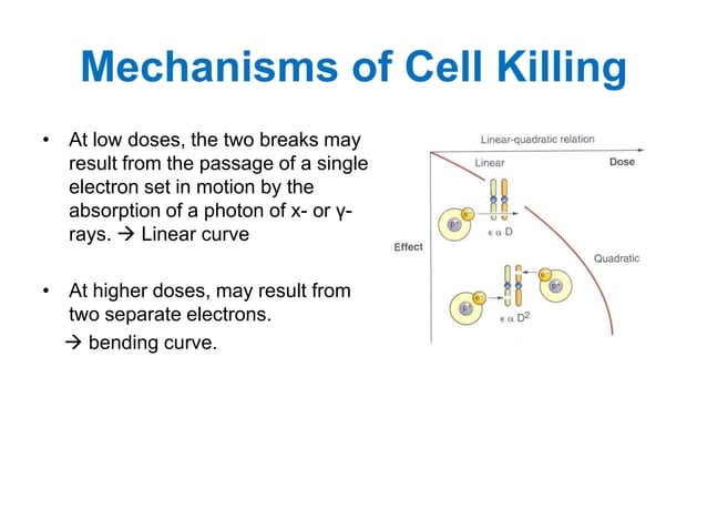 Chapter3 cell survival curve | PPT