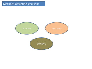 CHAPTER 3 Chilling.pptx