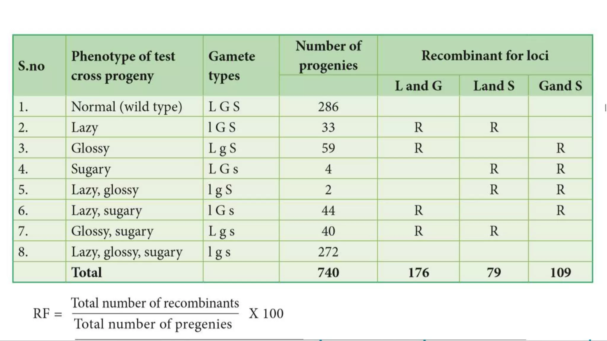 Chapter 3 chromosomal basis of inheritance | PPTX