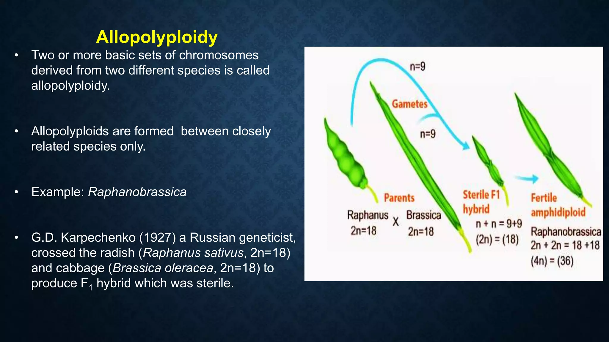 Chapter 3 chromosomal basis of inheritance | PPTX