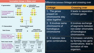Chapter 3 chromosomal basis of inheritance | PPTX