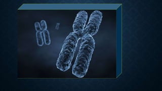 Chapter 3 chromosomal basis of inheritance | PPTX