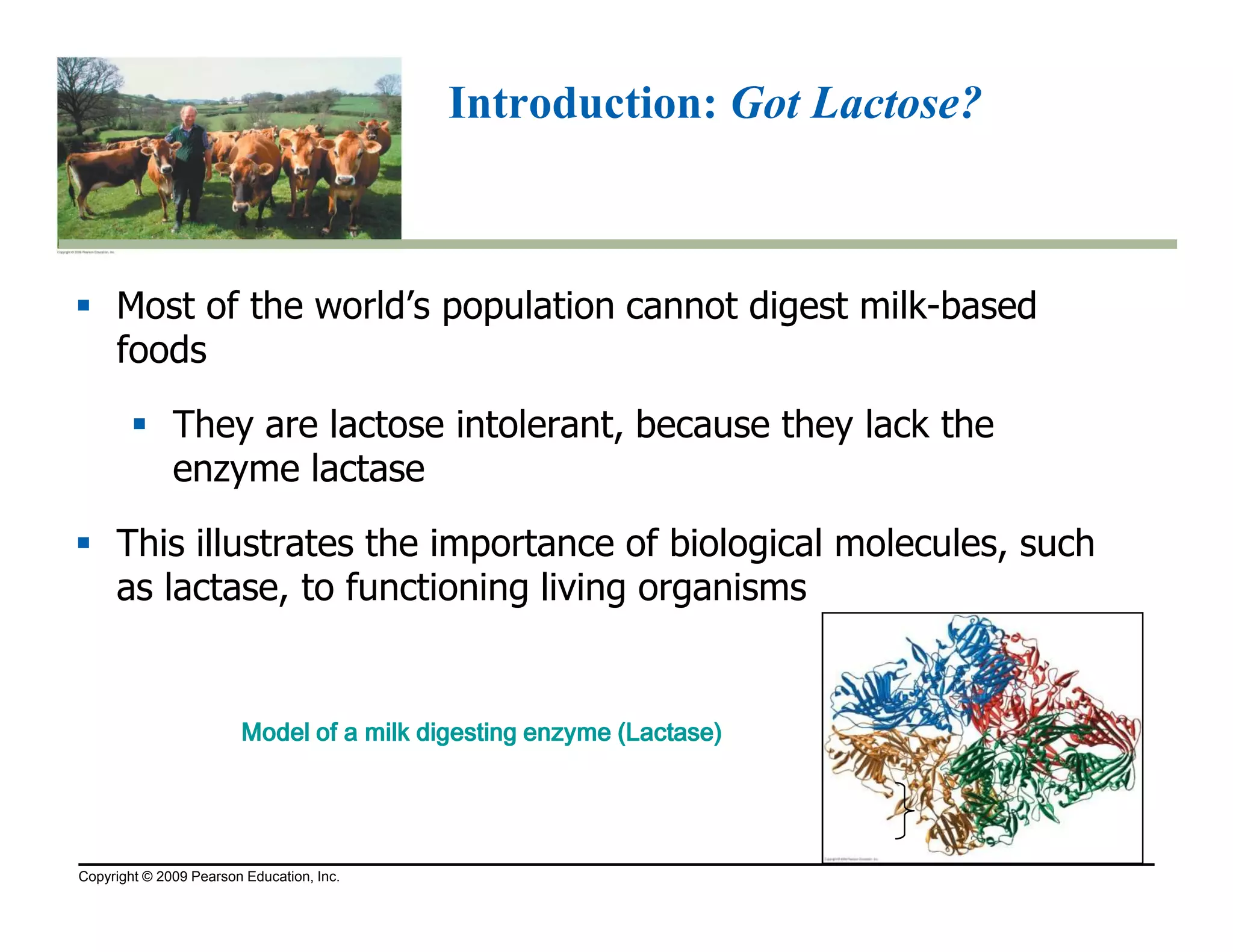 Chapter 3 [compatibility mode] | PPT