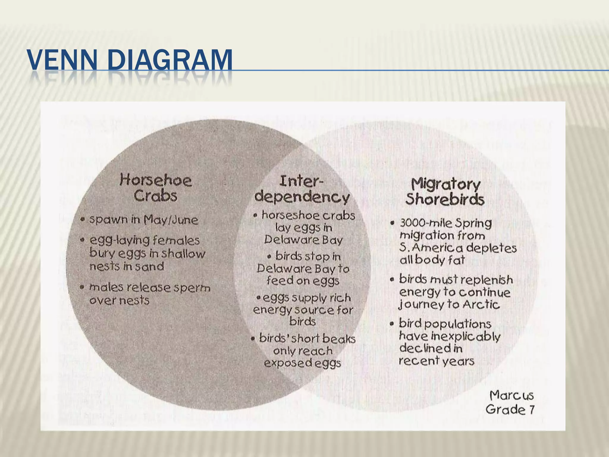 Chapter 3 conceptual understanding alternative conceptions | PPT