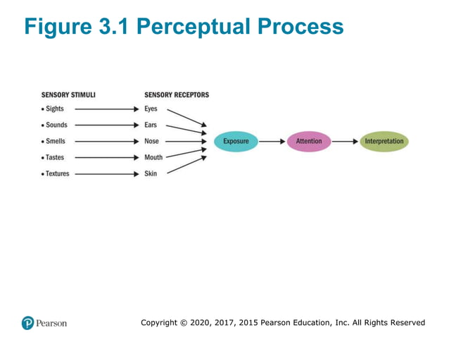 CHAPTER 3 CONSUMER BEHAVIOR.pptx