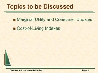 chapter_3 Consumer Behavior Robert Pyndick.pdf