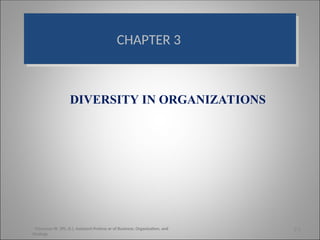 Chapter 3 Diversity in Organizations.ppt