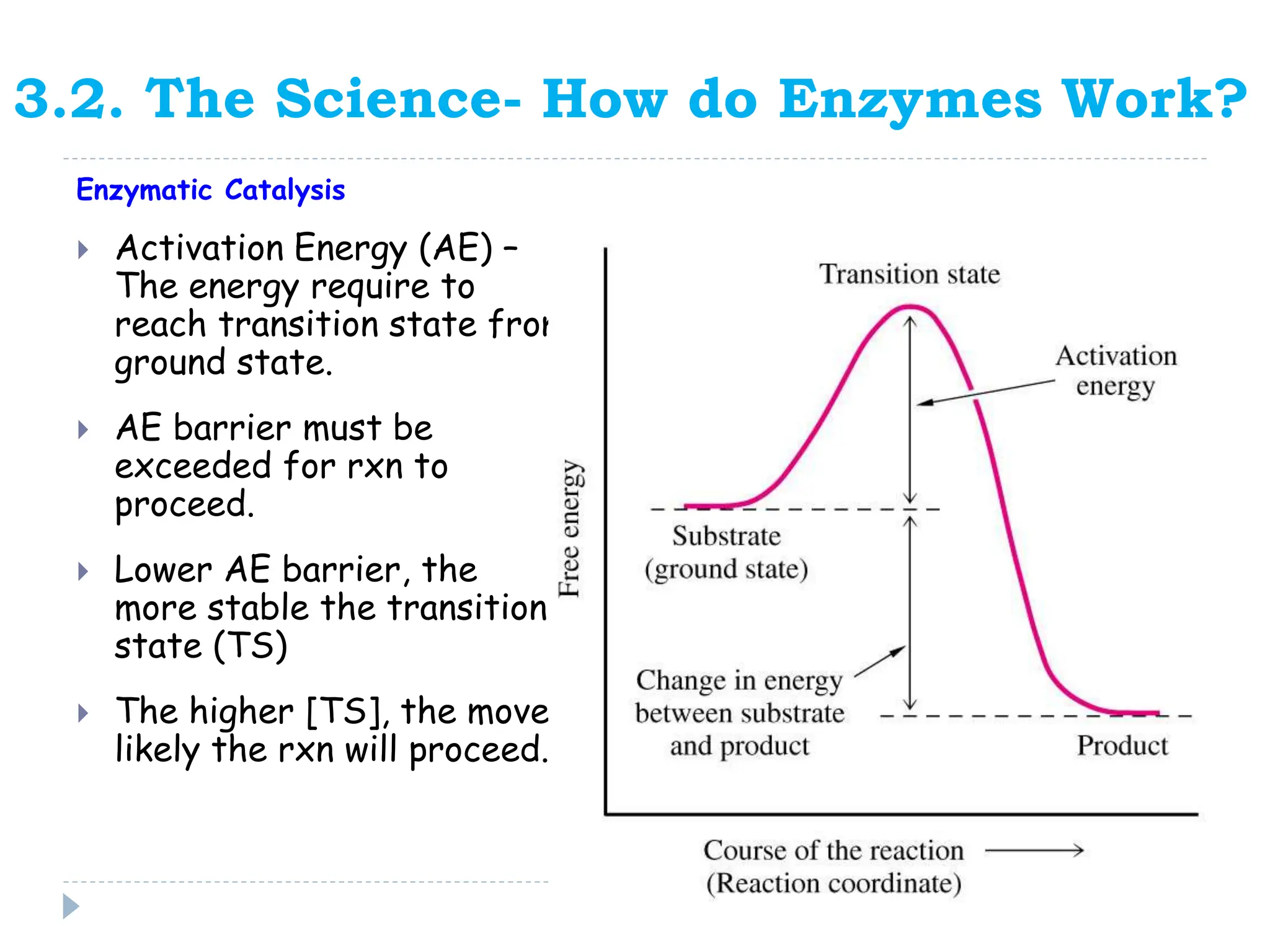 Chapter 3 Enzyme Mode of Action How enzyme works.pptx